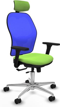 Piqueras y Crespo Ergonomischer Stuhl mit verstellbarer Armst&uuml;tze, 3D-Arme, h&ouml;henverstellbare Lendenwirbelst&uuml;tze und h&ouml;henverstellbares Kopfteil, Blau / Pistazie