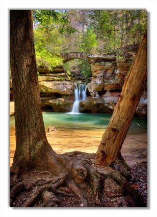 Wallario selbstklebendes Poster - Versteckter Platz im Wald, Aufkleber in Premiumqualit&auml;t, Klebefolie Gr&ouml;&szlig;e: 70 x 100 cm (Riesenposter)