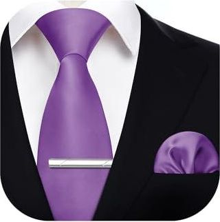 Hisdern Cravate Homme Lilas Formelle &Eacute;l&eacute;gante Classique Ensemble de Cravates et Mouchoir et Pince pour Mariage Affaires F&ecirc;te