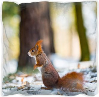 Wallario Dekokissen 60 x 60 cm, Neugieriges Eichh&ouml;rnchen im verschneiten Wald, beidseitig Bedruckt, Kuschelkissen mit weicher Pl&uuml;sch-Oberfl&auml;che
