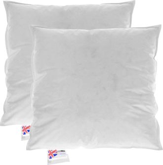 Homescapes Füllkissen 50x50 cm - 2er-Set Federkissen mit Daunen & Baumwollbezug, Kissenfüllung/Innenkissen für Dekokissen wie Sofakissen & Bettkissen oder kleine