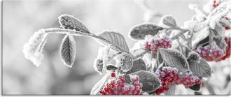 Pixxprint Glasbild Panorama, Wandbild aus Echtglas, Vogelbeeren im frostigen Winter, 120x50 cm, inkl. Aufh&auml;ngung und Abstandshalter