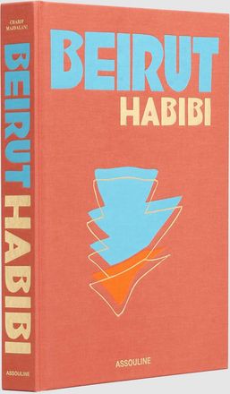 ASSOULINE Livre Beirut Habibi