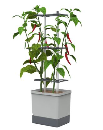 Gusta Garden Charly Chili Chilitopf - Pflanzentopf mit Rankhilfe, Bewässerungssystem & Robustem Rahmen (Hellgrau, XL)
