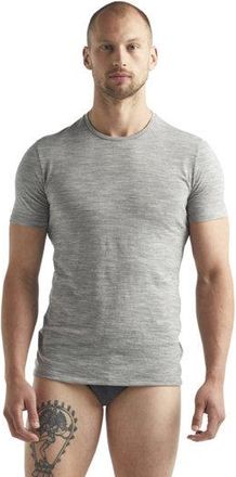 Icebreaker Merino Anatomica SS Crewe - Funktionsshirt - Herren