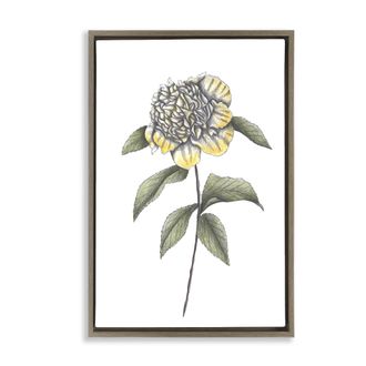 Stupell Industries Leinwandbild, Kamelienblumen-Illustration, gerahmt, Design von Cecilia Battaini, 78 x 53 cm, Grau