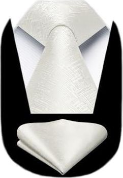 Hisdern Cravate Beige élégantes Classique Cravate et Pochette Homme Formelle Cravate Homme Mariage daffaires