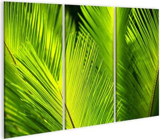 Islandburner Bild auf Leinwand Grüne Palme Blätter Bilder Wandbilder Poster