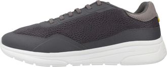 Geox Homme, Chaussures, Gris, Taille: 43 EU Klaiver Baskets