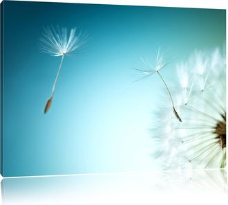 Pixxprint Löwenzahn Pusteblume, Größe: 60x40cm, Leinwandbild, fertig gespannt, Wandbild, Dekoration, Kunstdruck, kein Poster