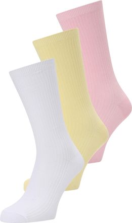 Becksöndergaard Socken