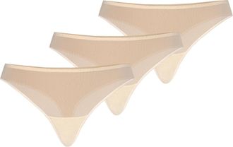 Teyli String Nikola