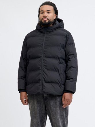 Jack & Jones Plus Size Steppjacke JJESOHO PUFFER HOOD SN PLS