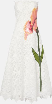 Costarellos Midikleid Mariela aus Spitze mit Pailletten