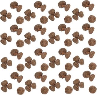 NUOBESTY 200 St&uuml;ck Rustikale Kleiner Eichelkappen Aus Naturholz Bastelbedarf F&uuml;r Selbstgemacht Herbst Und Weihnachtsdeko Vasenf&uuml;ller Und Tischdekoration F&uuml;r He