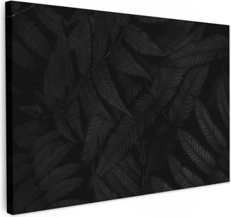 MuchoWow © Bild auf Leinwand Groß 120x80 cm XXL Schlafzimmer Bilder Wand Schwarze Deko Wohnzimmer Modern Wanddeko Bilderwand Geschenk Blätter - Schwarz - Pflan