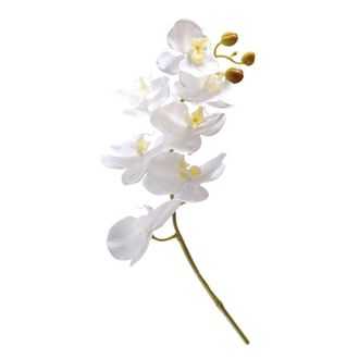 Garneck Phalaenopsis Kunstblume Orchideenstiele Gefälschte Orchideenblüten Kunstblumen Kunstblumen Mit Vase Künstliche Orchidee Blaugrün Orchideendekoration B