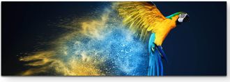 Paul Sinus Art Leinwandbilder | Bilder Leinwand 150x50cm fliegender Ara über bunter Pulverexplosion