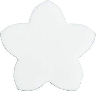 Rowenta ZR005805 Kit 20 x Ätherische Öle Kapseln | passend zu Clean & Steam RY77xx-Modelle | weiß