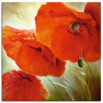 Artland Wanddeko Leinwand Bilder Wandbild 70x70 cm Pflanzen Blumen Blüten Mohnblume Mohn Sommer Wellness U4QN