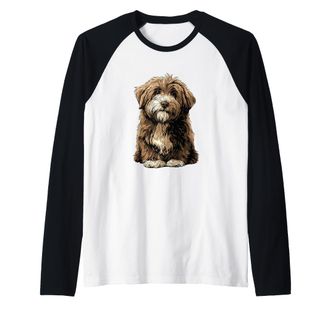 Whyitsme Design Schokoladen-Havaneser-Hunde-Illustration Raglan