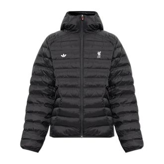 adidas Kapuzenjacke mit Steppung - - Sport - Herren - Schwarzk - L