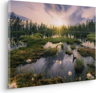 Komar Keilrahmenbild im Echtholzrahmen - Gloomy Swamps - Größe 60 x 40 cm - Bild, Leinwandbild, Landschaftsmotiv, Wohnzimmer, Schlafzimmer