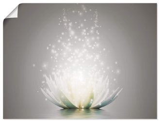 Artland Wanddeko Poster & Kunstdrucke Wandposter 60x45 cm Blumen Lotusblume Blüte Natur Seerose Abstrakt Kunst S7FD