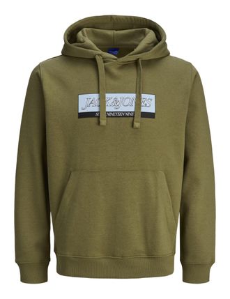 Jack & Jones Jorinwood Block Branding Sweat Hood