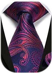 Hisdern Cravate Rose Violet Homme Paisley Mariage Cravates et Pochette Set Floral Ensemble