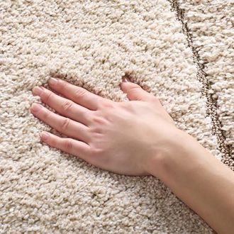 Safavieh Zottelig Teppich für Wohnzimmer, Esszimmer, Schlafzimmer - Florida Shag Collection, Hoher Flor, Creme und Beige, 122 X 183 cm