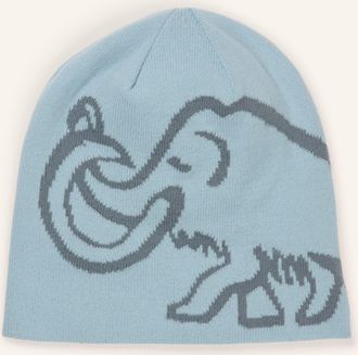 Mammut Mammut M&uuml;tze Zum Wenden blau