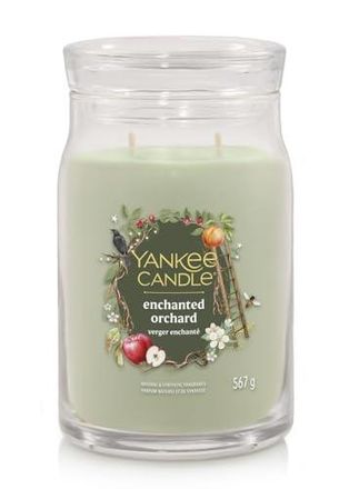 Yankee Candle Company Yankee Candle Bougie parfum&eacute;e dans un verre (grande) - Bougie signature &laquo; Collection automne 2025 &raquo; - Dur&eacute;e de combustion : jusqu&agrave; 90 heures