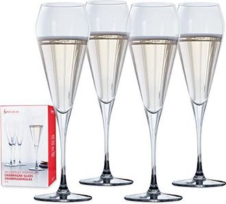 Spiegelau Champagner Gläser 252 ml, 4 Stück, Willsberger Anniversary, 1416175, Sektgläser aus Kristallglas, Champagnergläser spülmaschinenfest