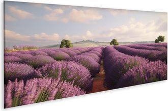 Islandburner Prime Bild auf Leinwand Lavendelfeld Bilder Wandbilder Poster