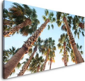 Paul Sinus Art Tropische Palmen 120x 60cm Panorama Leinwand Bild XXL Format Wandbilder Wohnzimmer Wohnung Deko Kunstdrucke