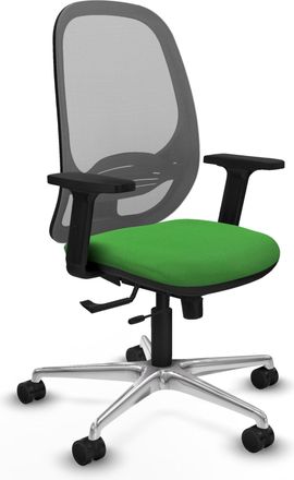 Piqueras y Crespo Cilanco B&uuml;rostuhl mit 2D-Armen, h&ouml;henverstellbare Lendenwirbelst&uuml;tze, ausgestattet mit Syncro/Traslack und Schneideschaum, Grau/Gr&uuml;n