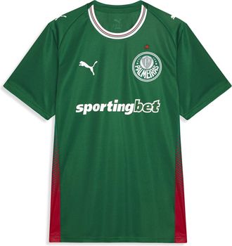 Puma Maillot Home 2026 Palmeiras Torcedor Homme, Accessoires, Vert, XXL