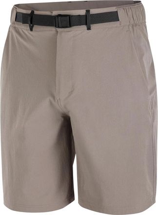 Salomon Homme, Shorts, Brun, Taille: M Wayfarer 2.0 Shorts