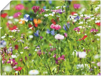 Artland Wanddeko Poster & Kunstdrucke Wandposter 60x45 cm Blumen Blüten Blumenwiese Botanik Sommer Modern Kunst Q6WQ