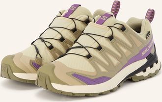 Salomon Wanderschuhe Xa Pro 3d v9 Gtx gruen