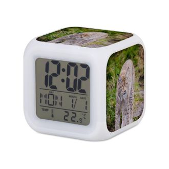 Fabulous Wecker, W&uuml;rfel, beleuchtet, Wei&szlig; - Gro&szlig;er Luchs Wildtier Foto Natur - 7,8 x 7,8 x 7,8 cm - Retro Beleuchtung mehrfarbig LED