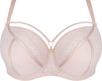 Gorsenia BH K496 Paradise