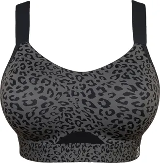 SugarShape BH Jive