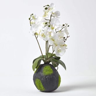 Homescapes Kunstblumen Phalaenopsis Orchidee wei&szlig; mit einem nat&uuml;rliche Sockel, 60 cm hoch