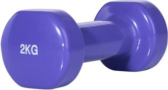 Sport-Tec Fausthantel, Gymnastikhantel, Vinylhanteln, Aerobic, Pilates, Workout, Muskel Training, Fitness Hanteln aus Vinyl, St&uuml;ck