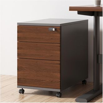 Generic Aktenschrank mit abschlie&szlig;barer Schublade und T&uuml;r, rollender Aktenschrank unter dem Schreibtisch mit Rollen, Aufbewahrungsschrank for das Heimb&uuml;ro(Bro