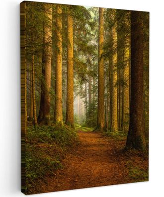 MuchoWow © Wandbilder 30x40 cm Wohnzimmer Wanddeko Schlafzimmer Zimmerdeko Fotowand Zimmer Deko Wand Dekoration Wall Art Bild Wald - Natur - Bäume - Landschaft