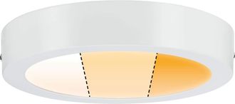 Paulmann 79795 Carpo LED Panel 225mm rund 13W Weiß matt mit Warmdimmfunktion 3000-2300K