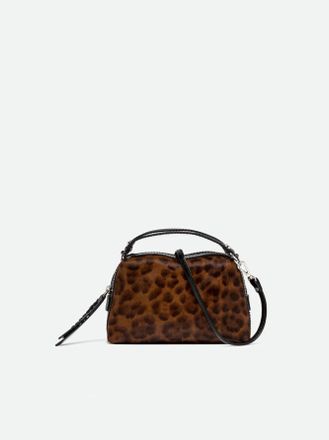 Gianni Chiarini ALIFA